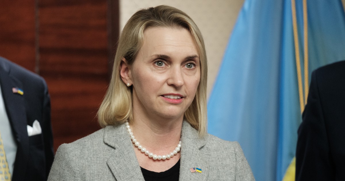 Допомога США Україні, тиск на бізнес та інвестиції: Що про це думає пані посол США Бріджит Брінк ...