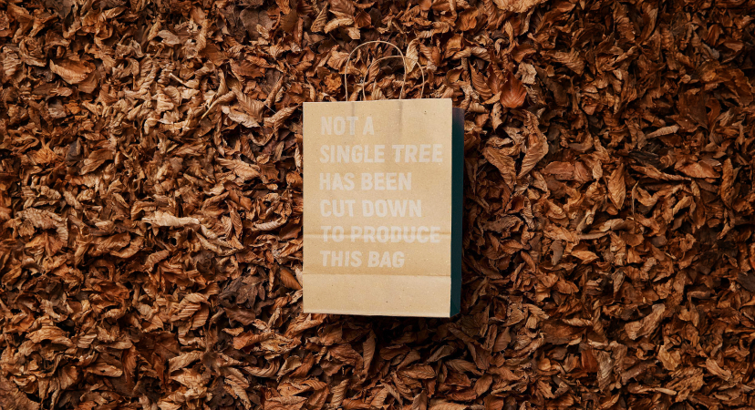 Як стартап Releaf Paper четвертий рік робить папір з опалого листя — Forbes.ua